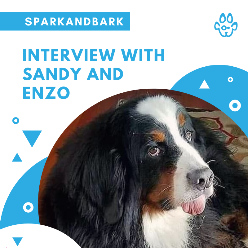 Interview With Sandy And Enzo – Sparky Steps