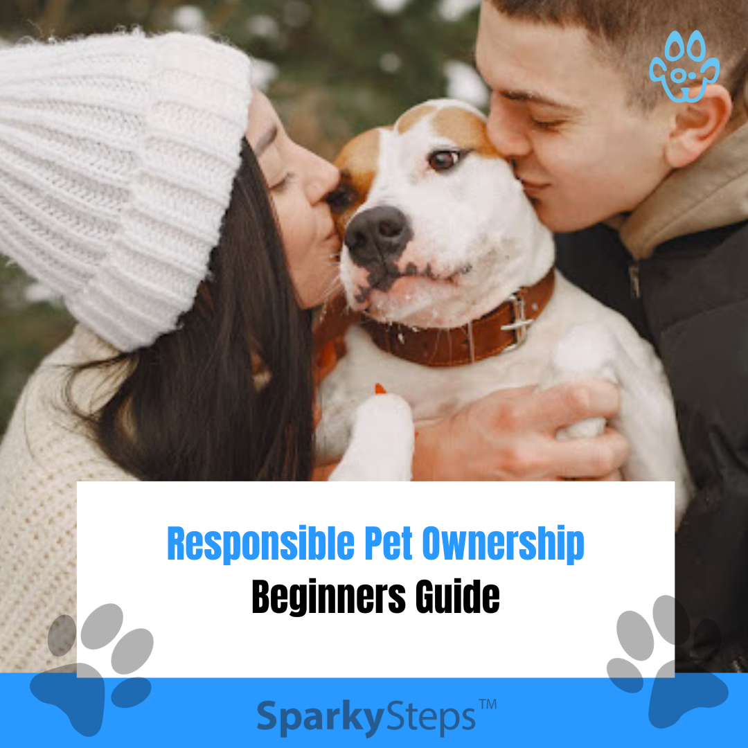 The Complete Beginner’s Guide to Responsible Pet Ownership – Sparky Steps