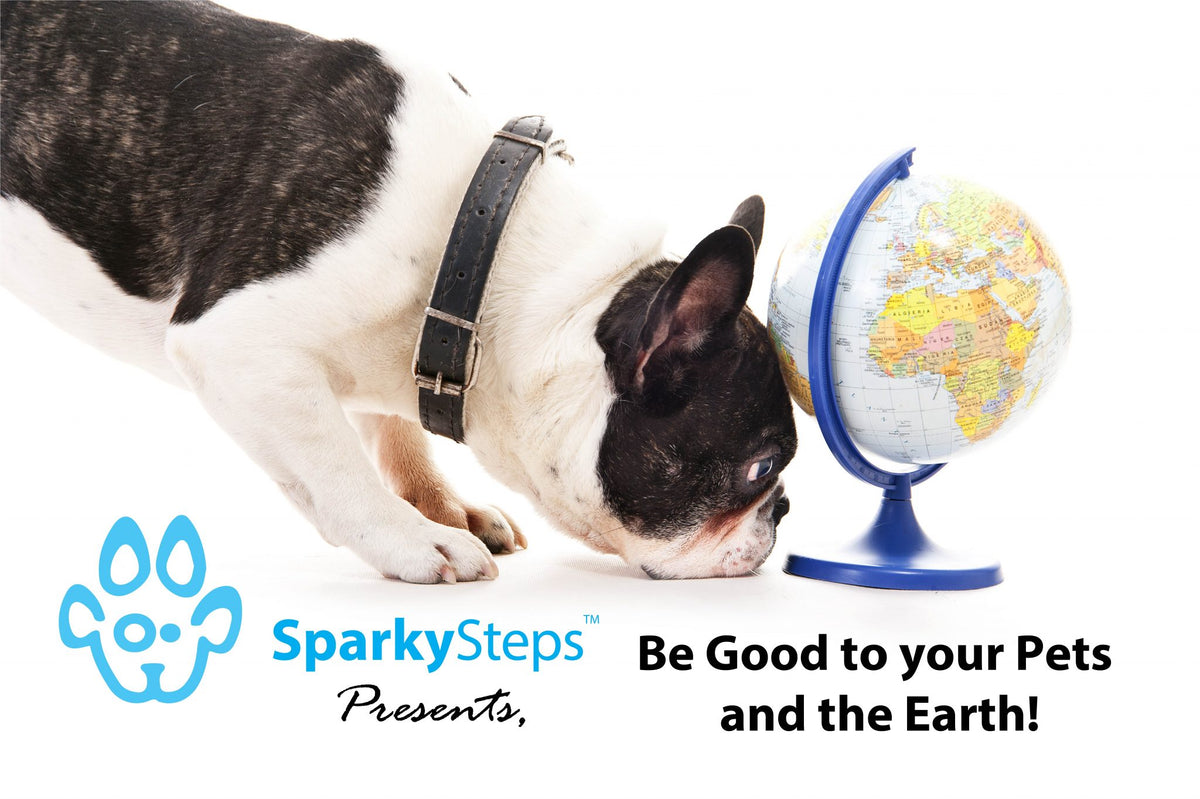 Be Good to Your Pets and the Earth – Sparky Steps
