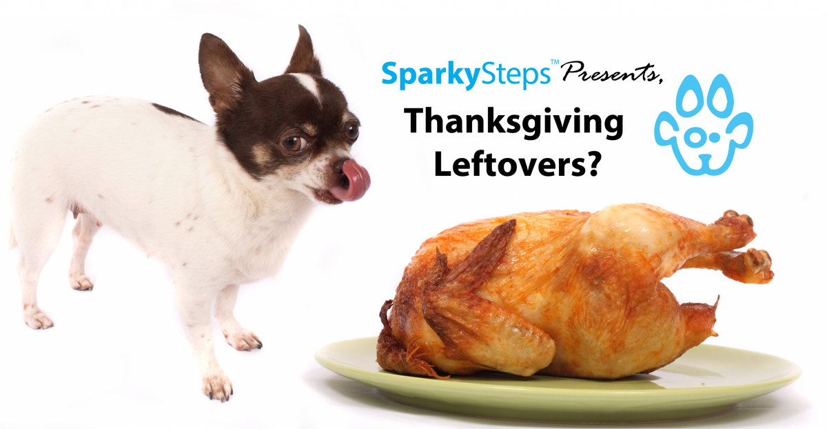 Thanksgiving Leftovers Your Pets Can (and Can't) Eat – Sparky Steps