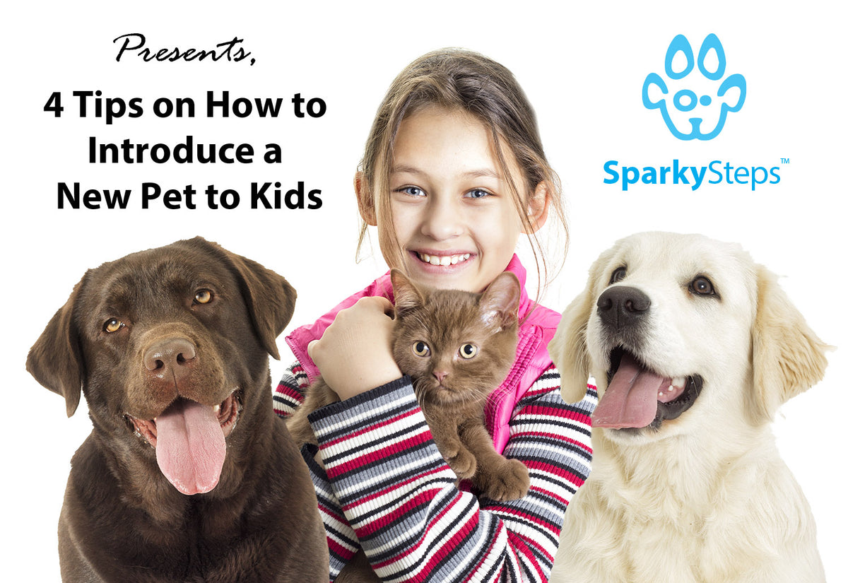 4 Tips on How to Introduce a New Pet to Kids – Sparky Steps