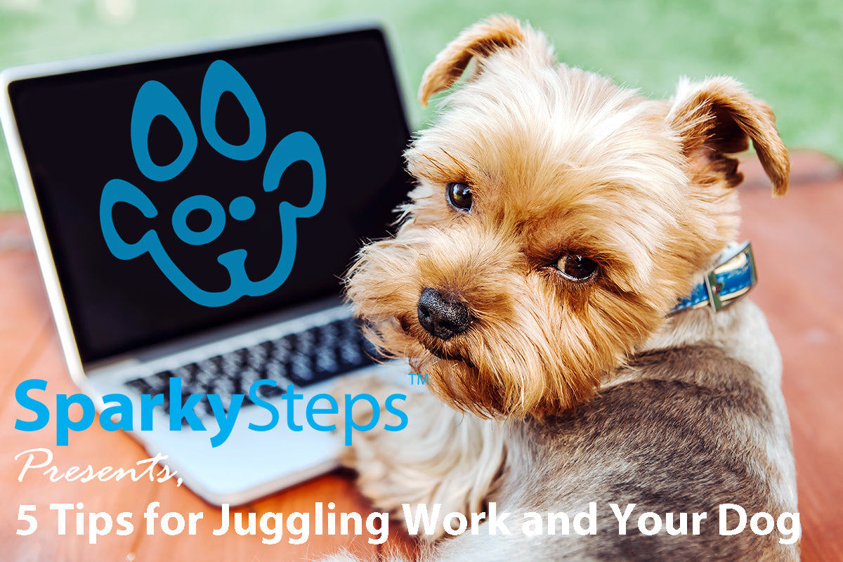 5 Tips for Juggling Work and Your Dog – Sparky Steps