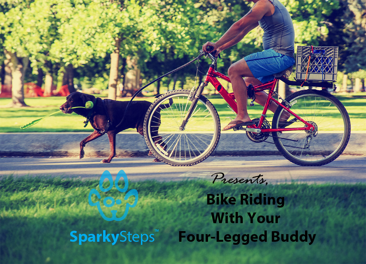 Bike Riding With Your Four-Legged Buddy – Sparky Steps