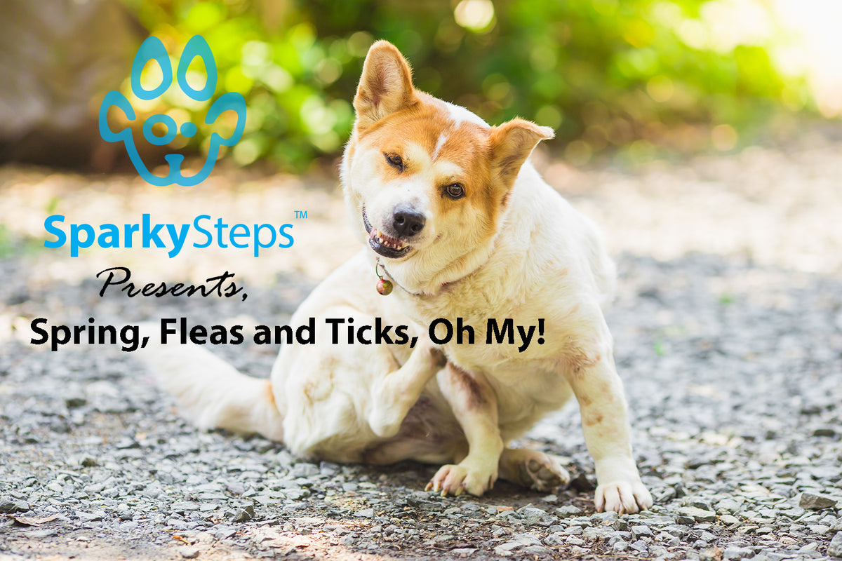 Spring and Fleas and Ticks, Oh My! – Sparky Steps