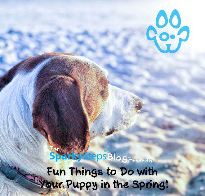 5 Fun things to do with your pup in the Spring – Sparky Steps