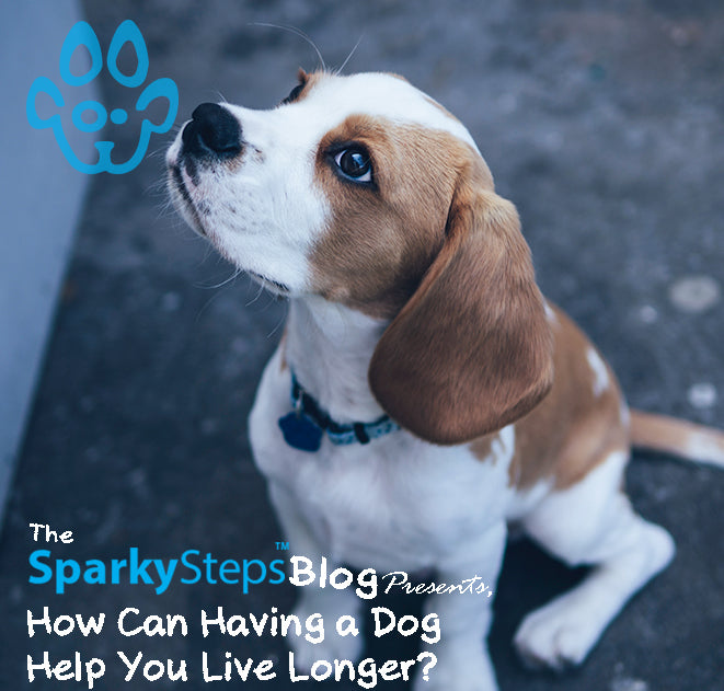 Can Dogs Help You Live Longer? – Sparky Steps