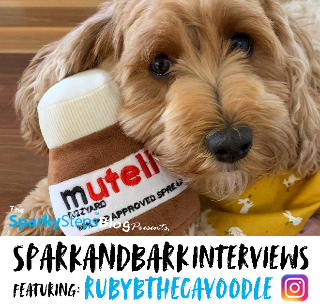 Interview With RubyBTheCavoodle – Sparky Steps