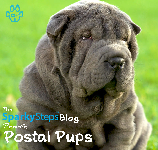 Postal Pups – Sparky Steps