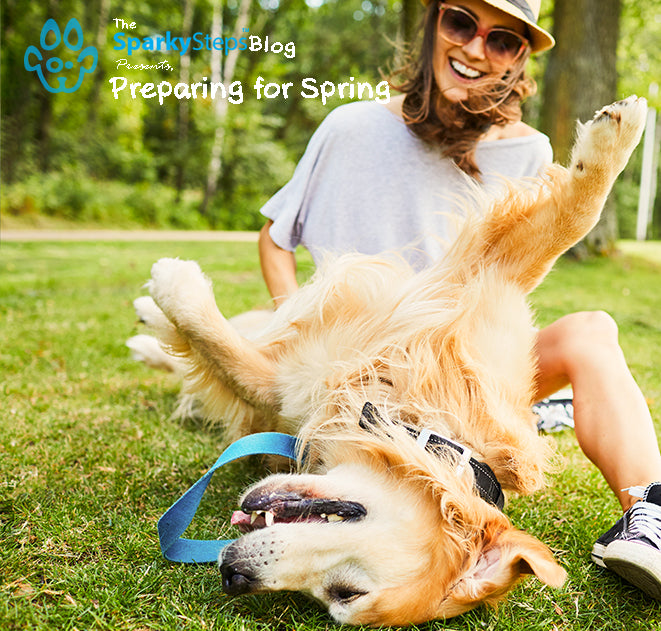 Preparing Your Pup For Spring – Sparky Steps
