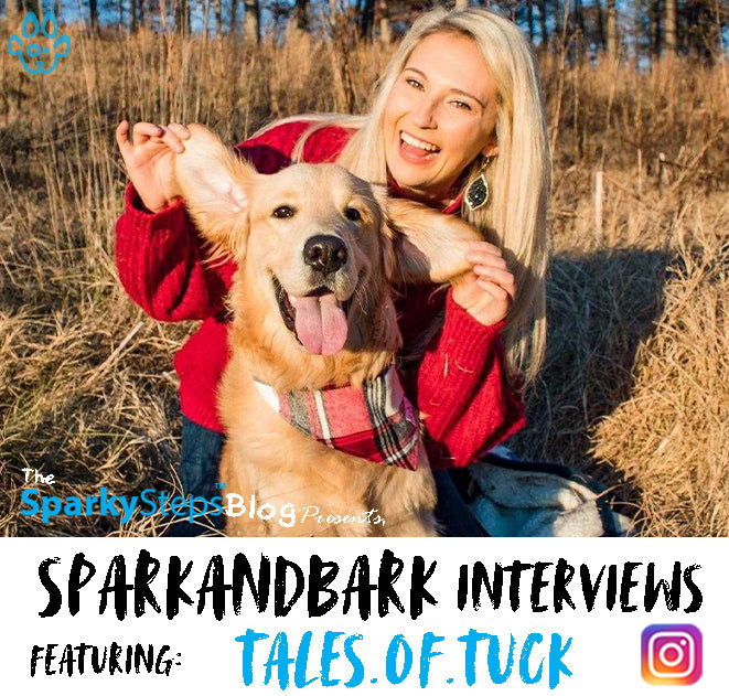 Interview With Tales.Of.Tuck – Sparky Steps
